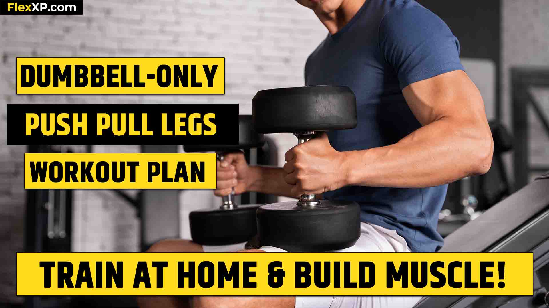 Dumbbell-Only Push Pull Legs (PPL) Workout Routine: Ultimate Dumbbell ...